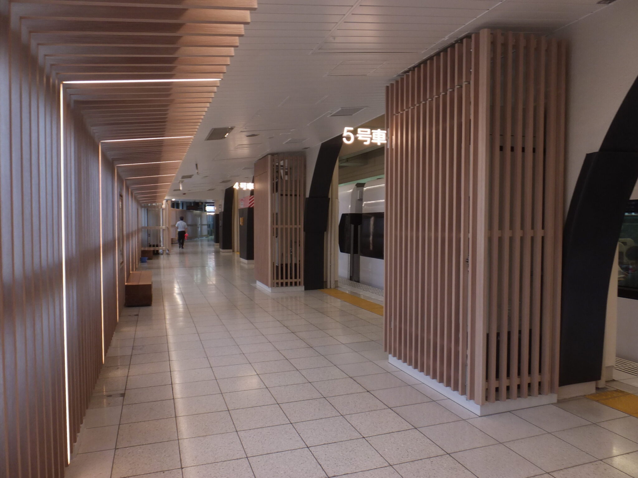 SPACIA X Ride Review: A Luxurious Train Trip from Asakusa to Nikko