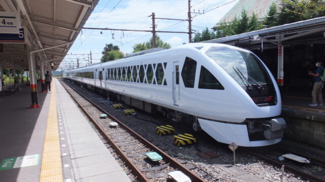 [Saphir Odoriko] Luxury Train Ride Along Japan’s Coast （Tokyo→Izu）｜JapanTabi